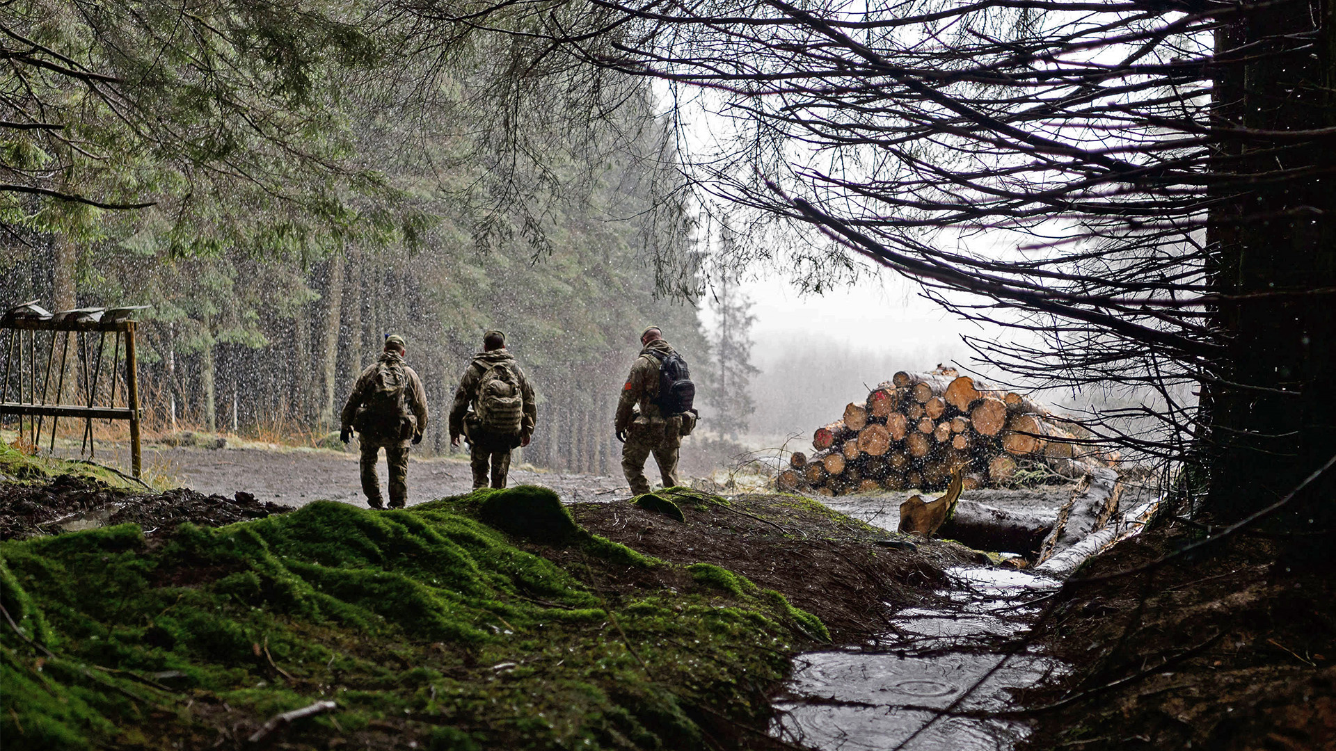 Safeguarding our planet and preparing for conflict: The team maintaining military forests